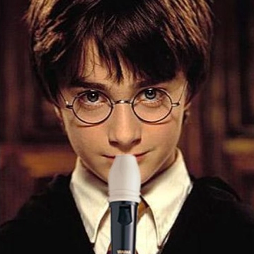 Harry Potter Flute Sound Effect Button | Soundboardguys